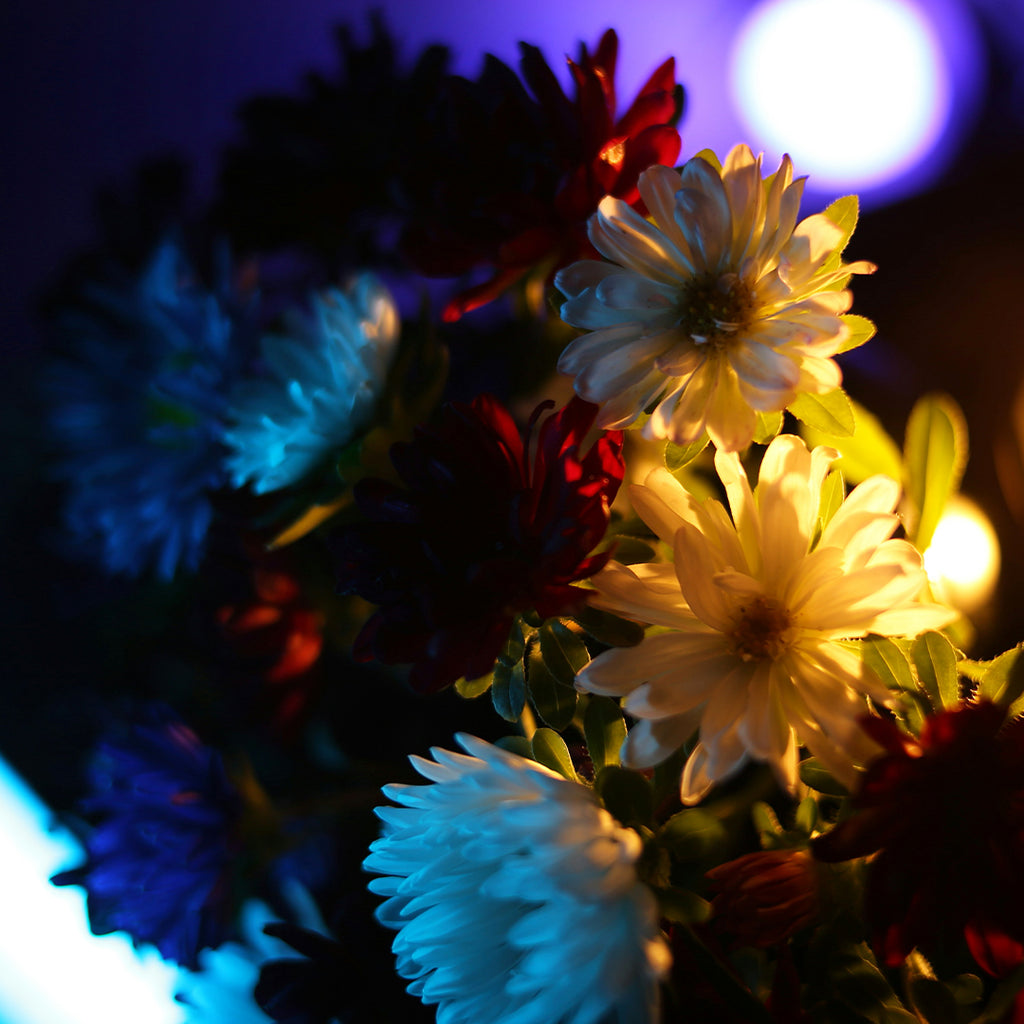 RGB Film Lights 101: Everything You Need to Know – ZHIYUN OFFICIAL STORE